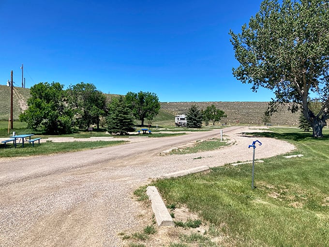 Simple pleasures await at Shelby's campgrounds, where the soundtrack is birdsong and the entertainment is watching clouds shape-shift across endless skies.