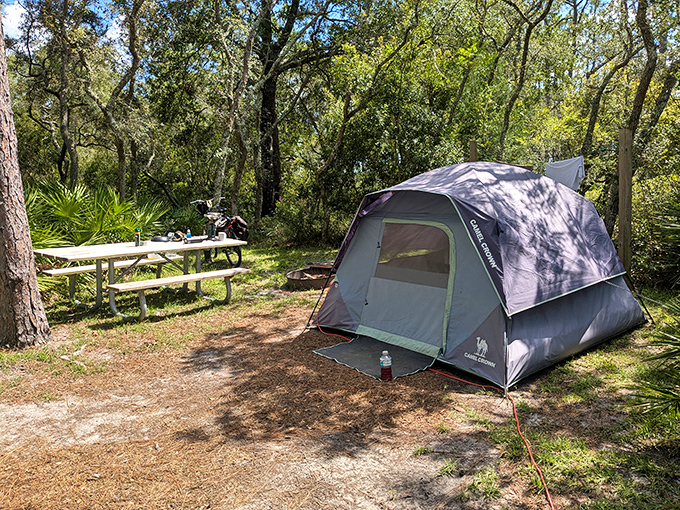 Camping nirvana: where your backyard temporarily includes ancient trees, singing birds, and zero neighbors asking to borrow your power tools.