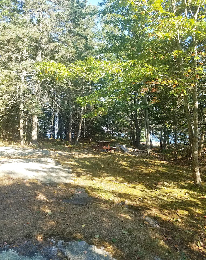 A sun-dappled haven where picnic tables wait patiently for your sandwich masterpiece and lemonade.