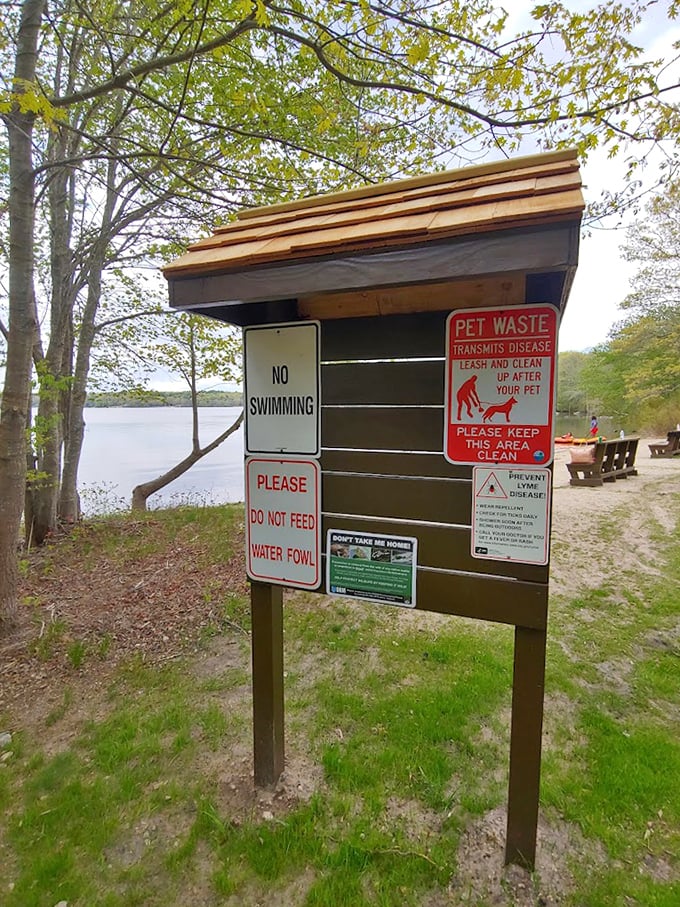 The park's version of "terms and conditions." Unlike online versions, these are actually worth reading before proceeding.