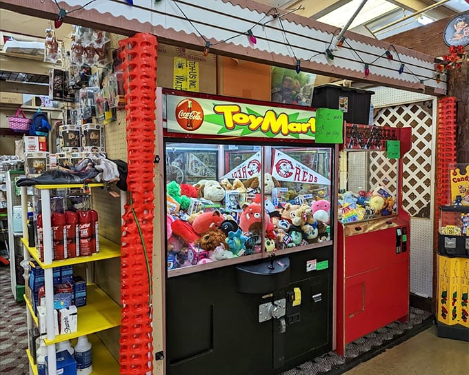 The classic claw machine&mdash;where hope springs eternal and stuffed animals taunt you from behind glass with their smug little faces. 