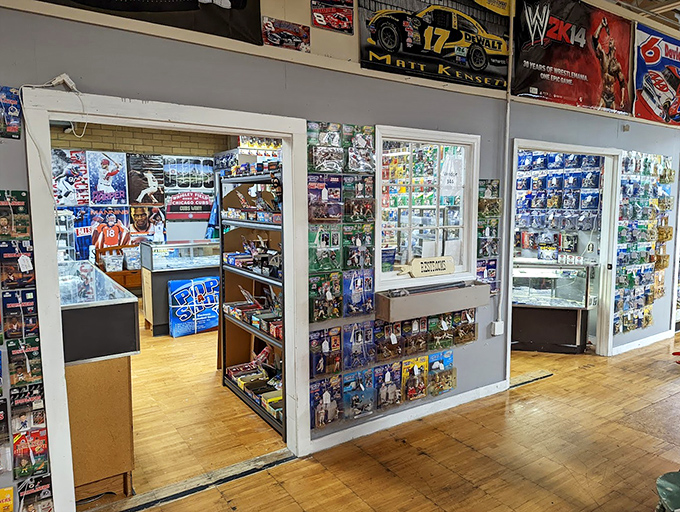 Sports memorabilia and collectible figures await the enthusiast who never quite grew up. Your inner twelve-year-old is already reaching for the wallet.