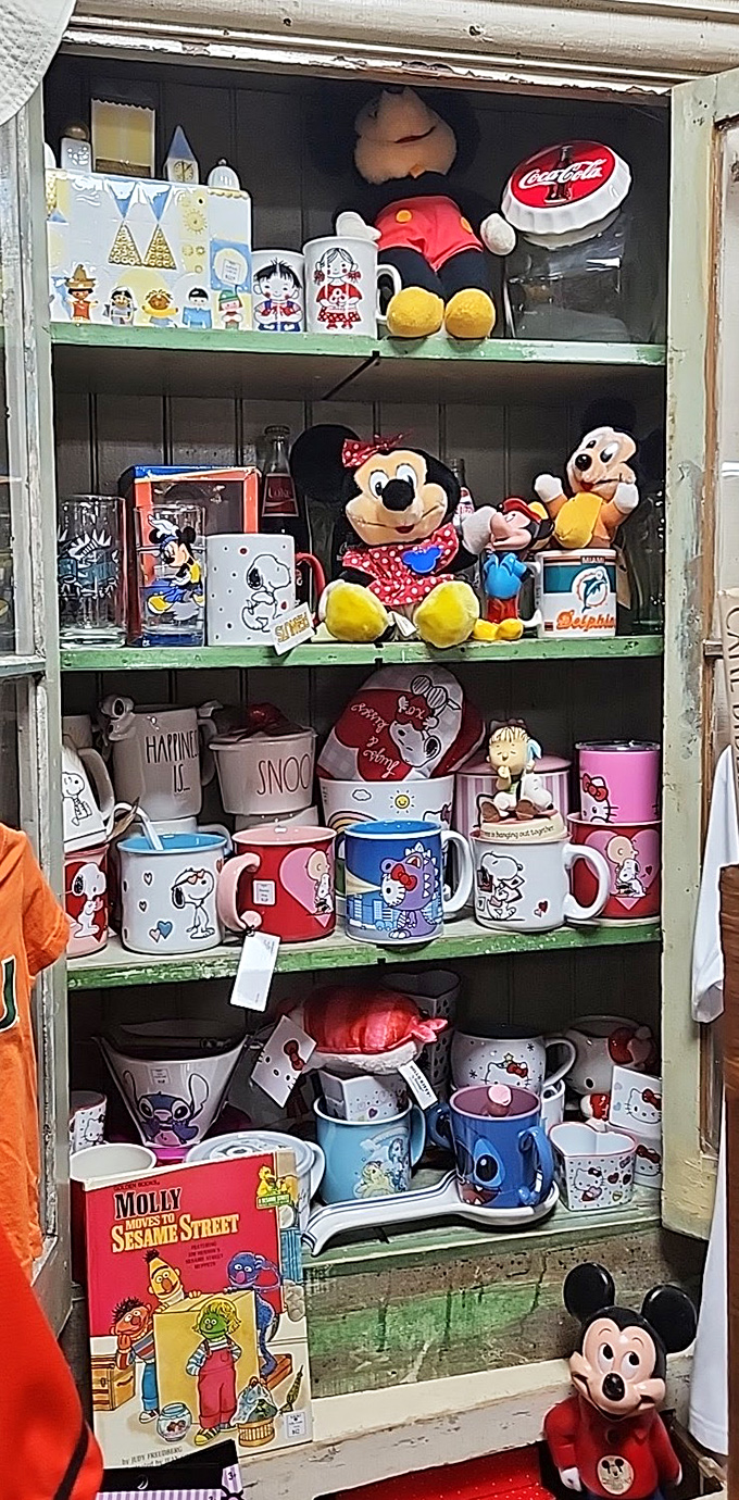 Disney nostalgia meets vintage collectibles in a cabinet that's basically childhood memories come to life again.