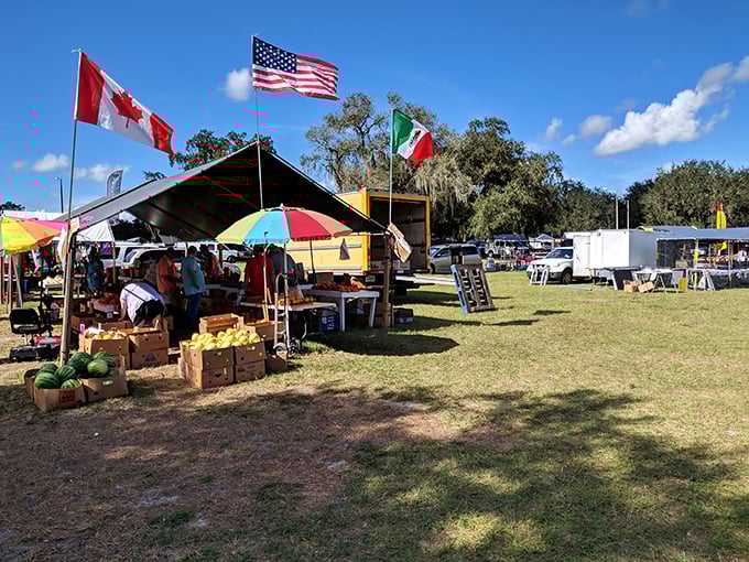 Local markets fly international flags while offering farm-fresh produce at prices that remind you why you moved to a small town.