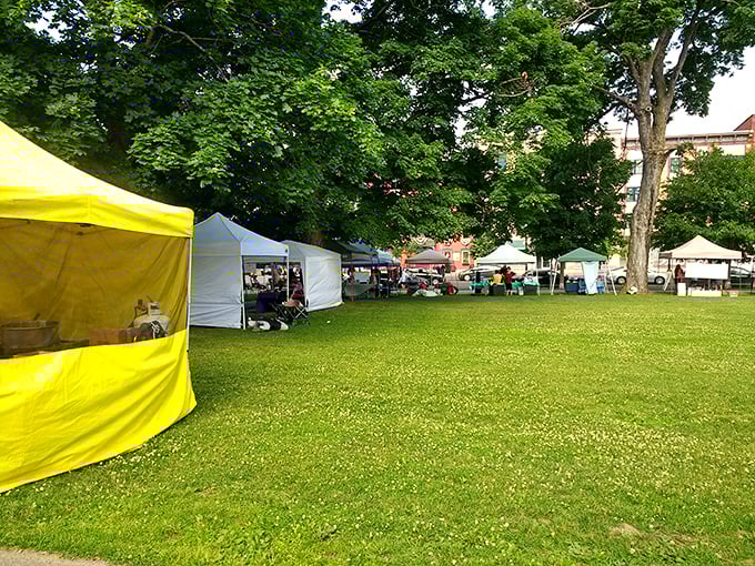 The farmers market transforms green space into a community living room, where conversations flow as freely as the local maple syrup.