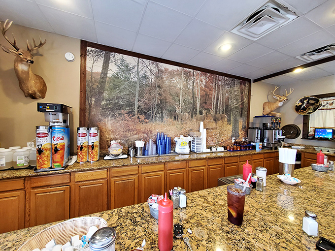 The drink station &ndash; where mounted deer heads watch over your beverage choices with the same intensity you'll soon be eyeing your breakfast plate.