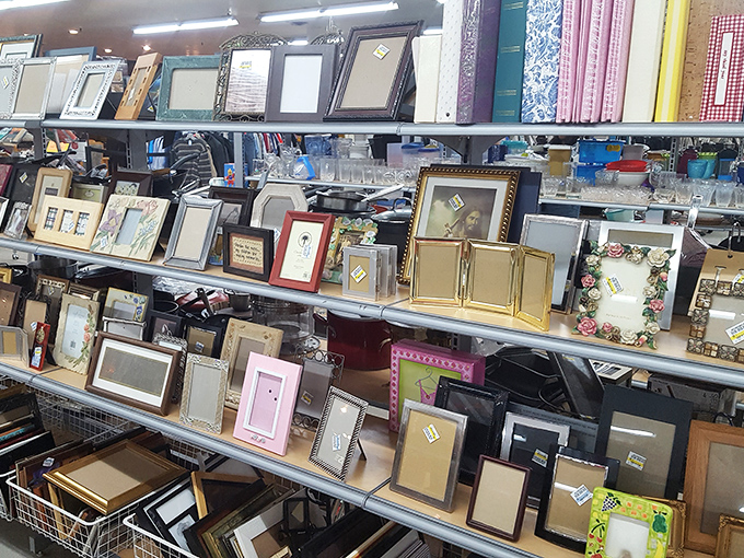 Picture this: frames of every size, shape, and style waiting to showcase your memories. This wall of possibilities costs less than a single new frame elsewhere.