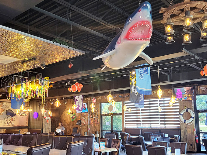 That shark hanging from the ceiling? He's just jealous he can't sample the seafood below.