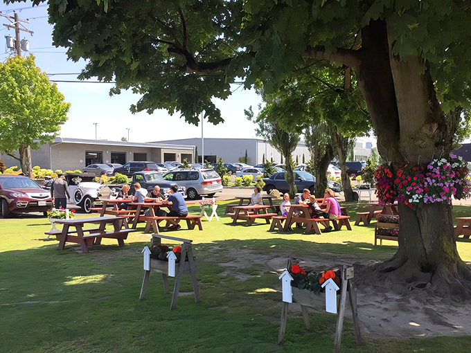 Sunshine, shade trees, and scattered picnic tables create the perfect backdrop for the American ritual of outdoor dining at its most democratic.