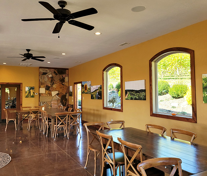 The tasting room's warm yellow walls and arched windows create the perfect backdrop for wine education without the intimidation factor.