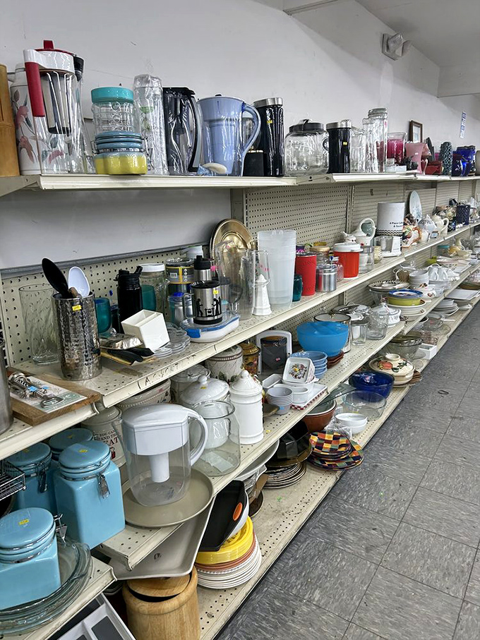 Kitchen essentials with previous lives. These plates and pitchers are ready for their second act in your culinary productions.