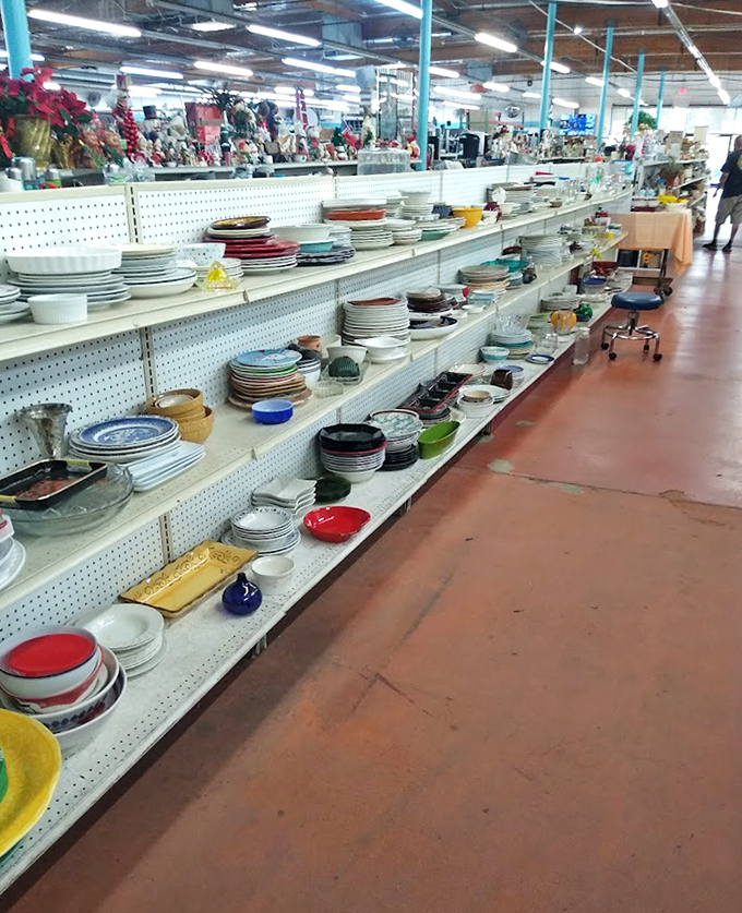 Dinnerware displays that could host a banquet for royalty. Mix-and-match plates turn everyday meals into eclectic dining experiences that food photographers would envy.