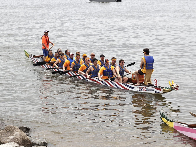 Dragon boat racing brings ancient tradition to Maryland waters, where teamwork and determination power these magnificent vessels toward victory.