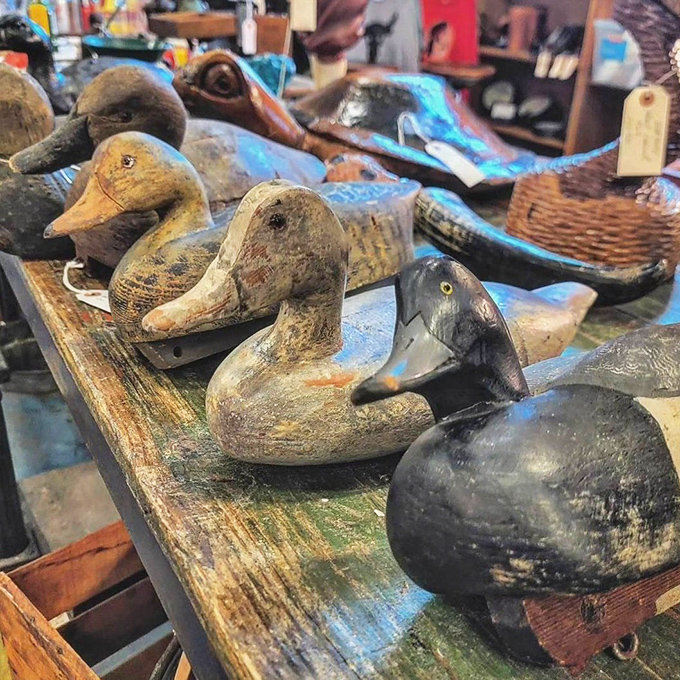 A flock of wooden ducks that won't fly south or make a mess on your porch. Decoys with personality and zero maintenance.