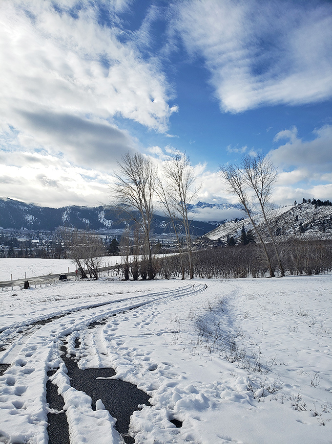 Winter transforms the landscape into a serene wonderland. The snow-covered trails offer solitude that summer visitors can only dream about. 