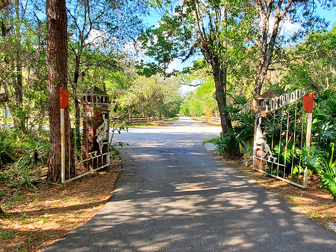 The entrance gate promises adventure beyond, like the wardrobe to Narnia if Narnia had been designed by a creative Floridian with access to scrap metal.
