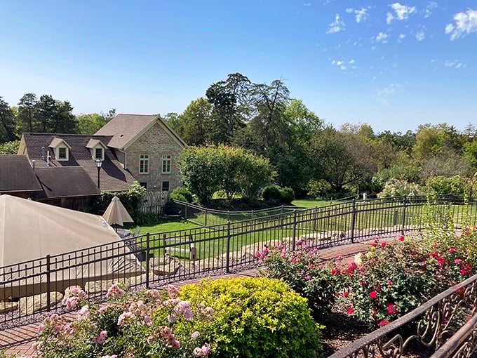 Roses bloom alongside the terrace, adding floral elegance to an already photogenic scene that screams "romantic getaway."