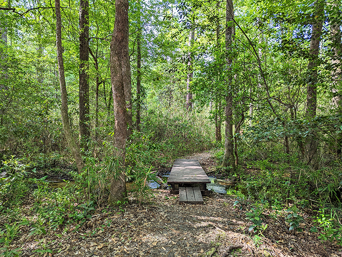 A humble wooden bridge that connects not just two patches of earth, but visitors to experiences they'll remember for years.