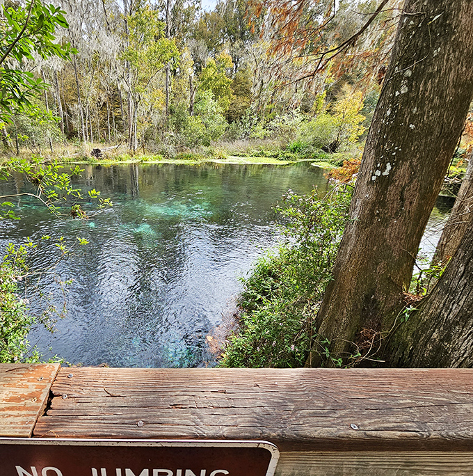 The view that launched a thousand "wish you were here" texts. This spring vista offers a perfect blend of tranquility and vibrant color.