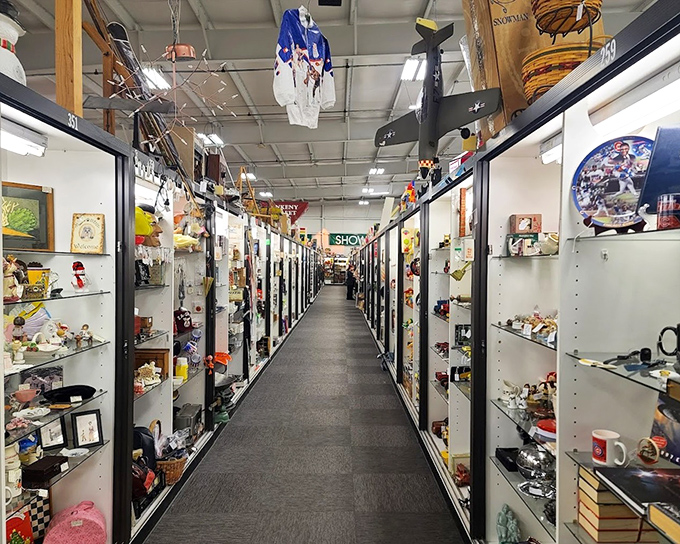 These gleaming display cases form canyons of collectibles, where each turn reveals another vista of carefully curated curiosities waiting to be discovered.