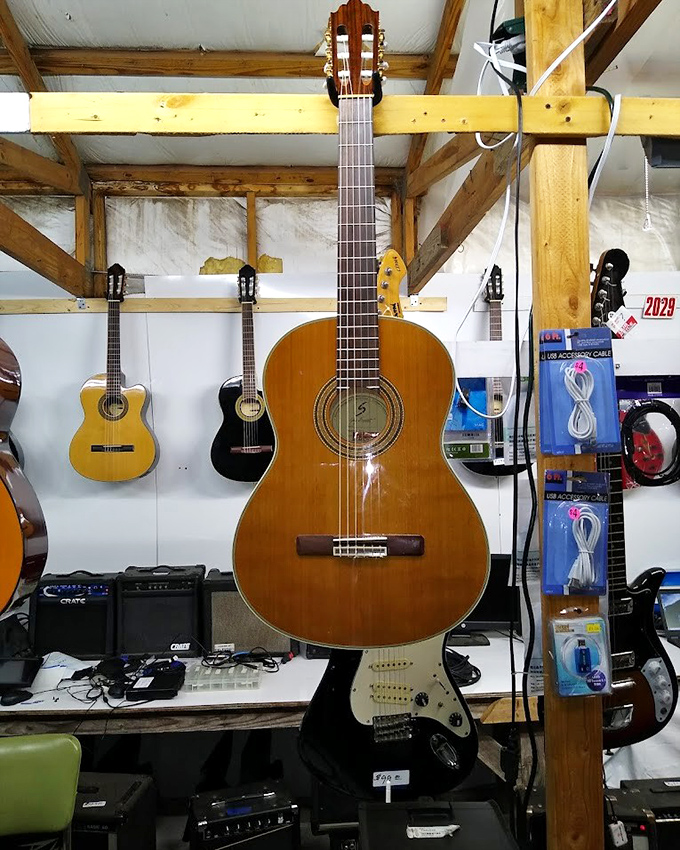 Classical guitars stand at attention, their wooden bodies holding the promise of Spanish serenades and campfire sing-alongs.