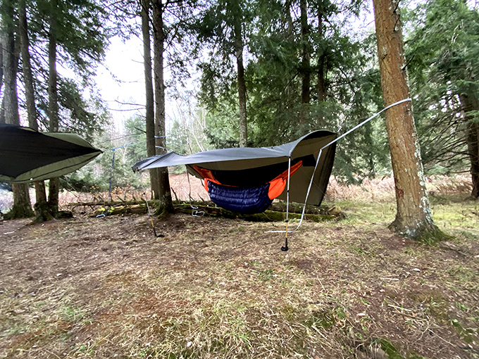 Hammock heaven awaits beneath the pine canopy. These suspended sleeping quarters offer the ultimate forest lullaby experience.