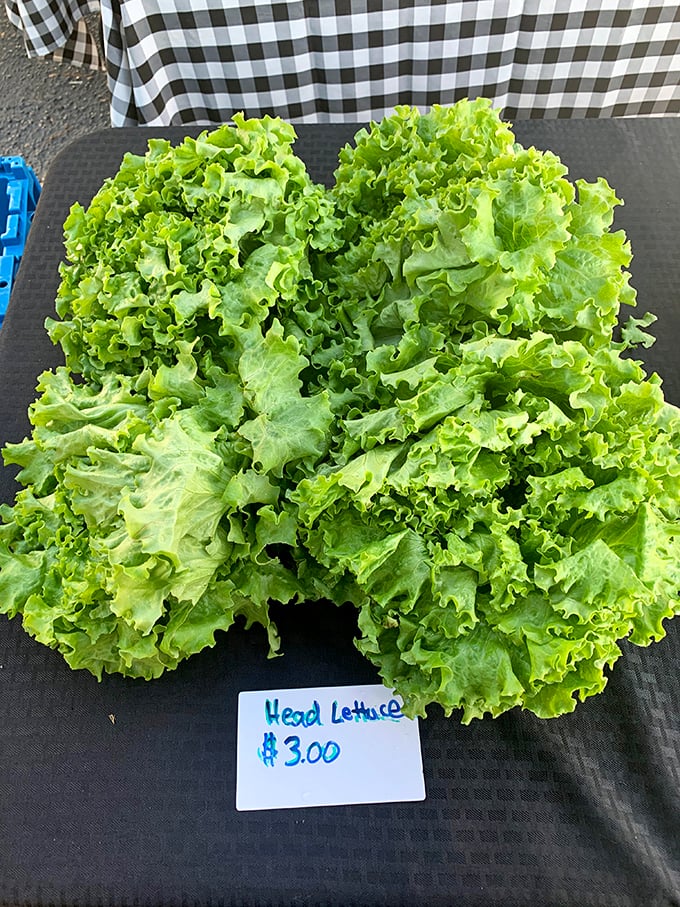 Lettuce this fresh doesn't need dressing to impress&mdash;it's the leafy equivalent of waking up without needing coffee, perky and ready to go.