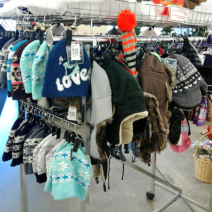 Winter hats and cozy accessories arranged like a textile garden of warmth and practicality.