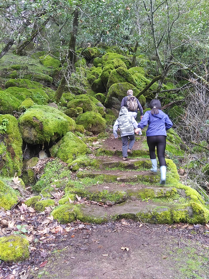 Little explorers tackle moss-covered steps that seem designed by woodland elves &ndash; childhood adventures in the making.