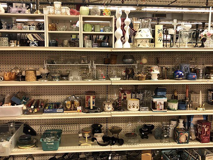 Home decor treasures fill shelves like a design show's prop room, minus the designer price tags.