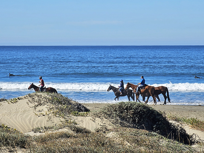 Horseback riding along the shoreline &ndash; because beaches weren't meant to be experienced only on foot when you can channel your inner cowboy.