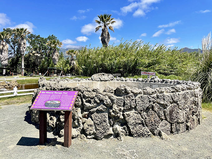 This historic mineral pool tells tales of Calistoga's therapeutic past, when "taking the waters" was the Netflix and chill of its day.