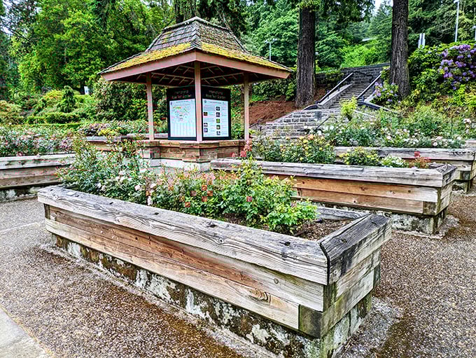 Garden central command. This rustic information kiosk holds the secrets to identifying that gorgeous rose you can't stop photographing.