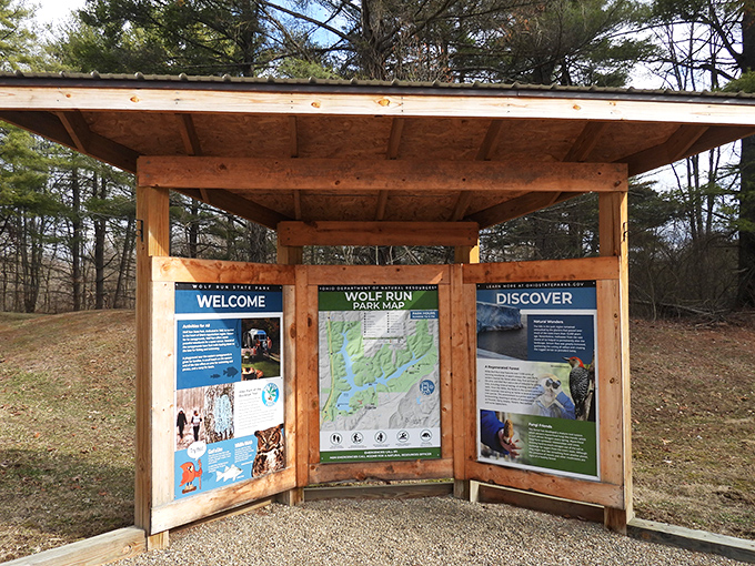 The information kiosk: where you learn that getting lost in nature is actually the point, but here's a map just in case.