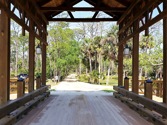 Inside the bridge, dappled light filters through, creating a cathedral-like atmosphere that transforms a simple crossing into an experience.