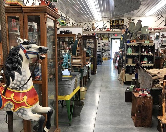 Aisle after aisle of American memories. That carousel horse has probably seen more history than your high school textbook ever covered.
