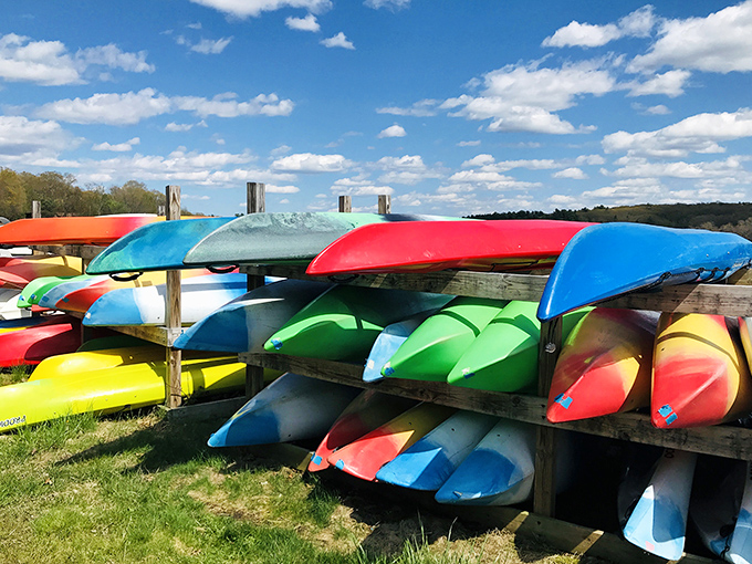 Watercraft waiting for adventure. These kayaks are like rental cars&mdash;they've seen things, but they're ready to show you a good time anyway.