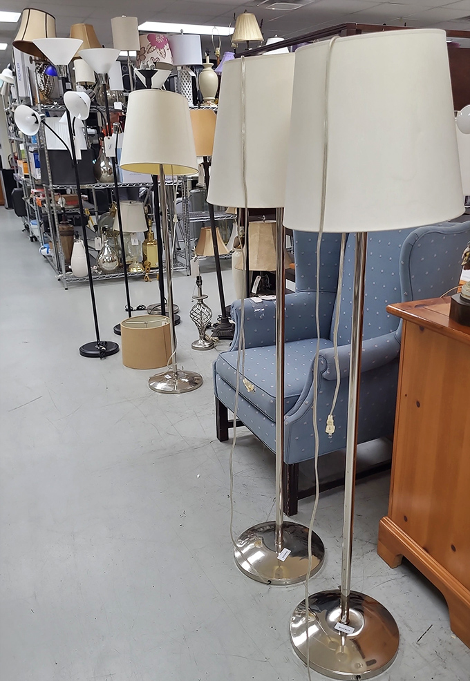 The lamp section glows with potential, offering everything from elegant floor models to quirky table options for your next "bright" idea.