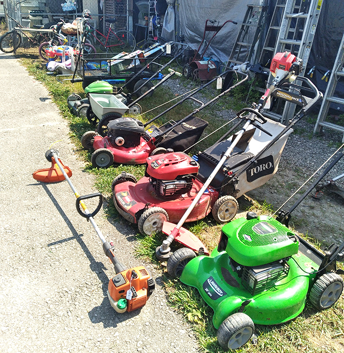The lawn mower lineup&mdash;where suburban dads congregate to debate horsepower while pretending they're just "browsing."