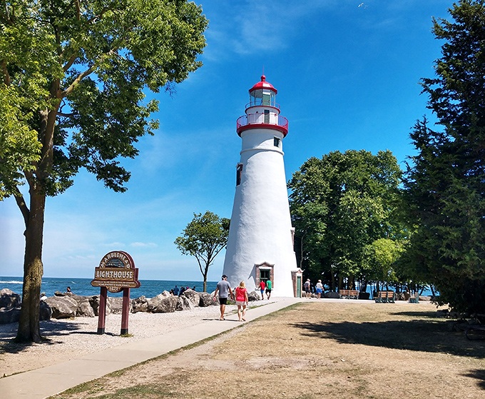 Marblehead's iconic lighthouse stands like Ohio's exclamation point against Lake Erie's blue page. Worth every step of the climb.
