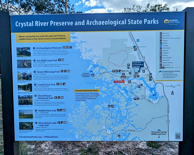 Not just a map&mdash;it's a treasure chart to adventures waiting around every bend of Crystal River's preserved paradise.