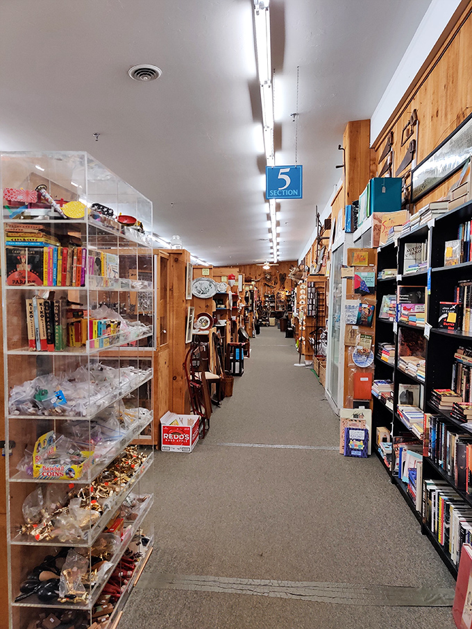Books, toys, and treasures as far as the eye can see. Section 5 might as well be labeled "Hours of Happy Browsing."