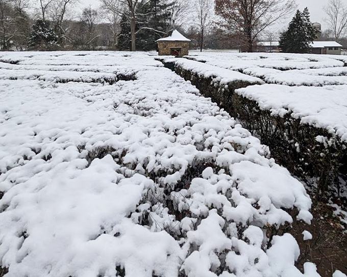 Winter transforms the labyrinth into a monochrome masterpiece, where snow outlines every twist and turn dramatically.