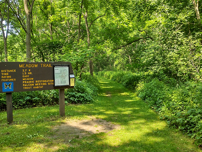 The Meadow Trail entrance promises butterfly encounters and bird sightings that beat anything on your streaming watchlist this weekend.