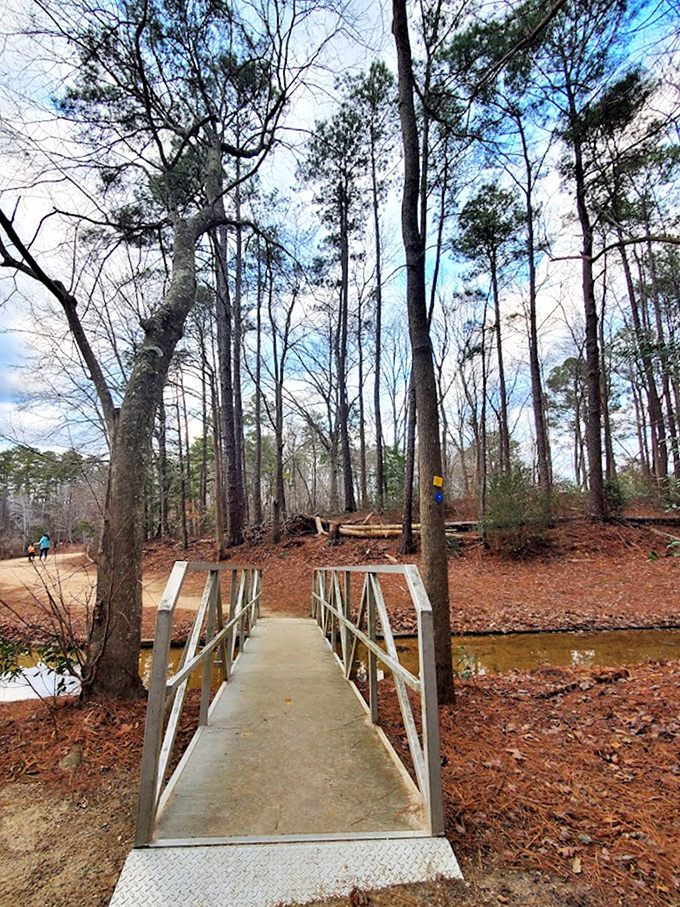 This footbridge crosses into adventure territory, where wet feet are optional but memories are guaranteed.