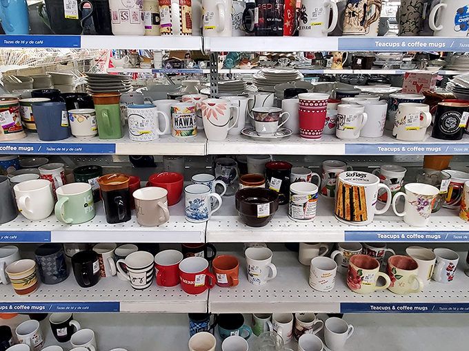 Mug museum! Each ceramic vessel tells a different story—from forgotten vacations to abandoned office jobs to quirky gift exchanges.