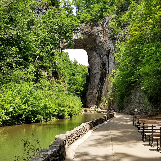 A natural limestone arch frames the perfect backdrop for contemplation. Nature's own cathedral, complete with creek-side seating. 