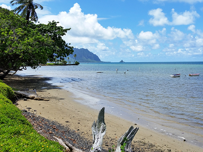The nearby shoreline offers quiet contemplation spots where sand, sea, and mountains collaborate on stress reduction.