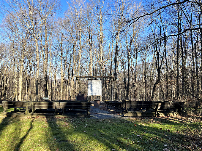 Nature's amphitheater where the only performances are by birds, wind, and occasionally an overly enthusiastic park ranger.