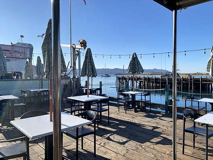 The patio view is the kind that makes you question all your life choices that didn't involve moving to the coast. Water, sky, and fresh sea air included.
